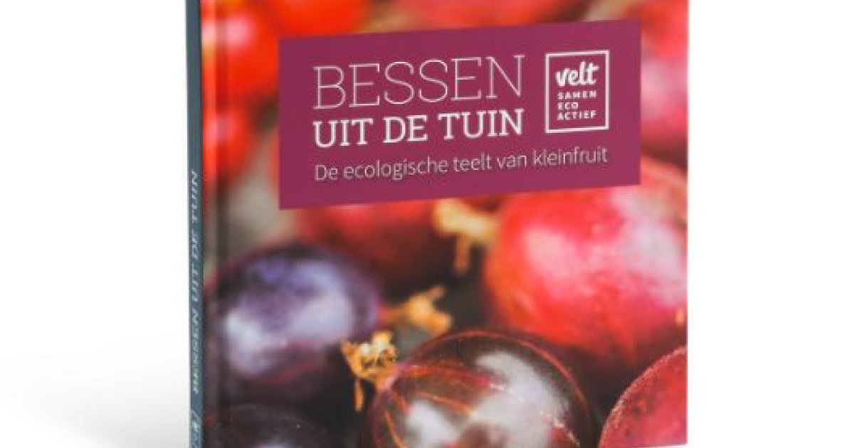 Bessen uit de tuin | Velt